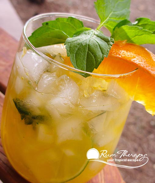 Zesty Orange Mojito – Rum Therapy