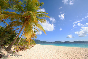 Sandy Cay, British Virgin Islands | Rum Therapy
