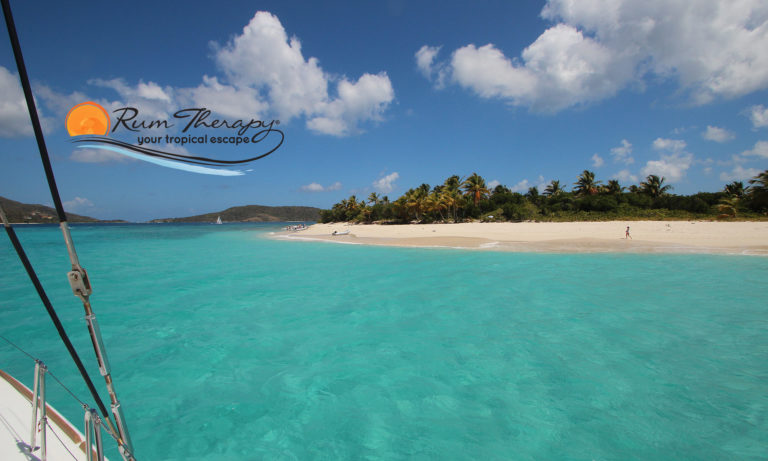 Bushwacker Pudding Shots | Rum Therapy