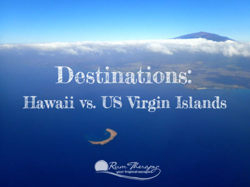 The 10 Most Visited Rum Therapy Island Blog Posts of 2020 | Rum Therapy